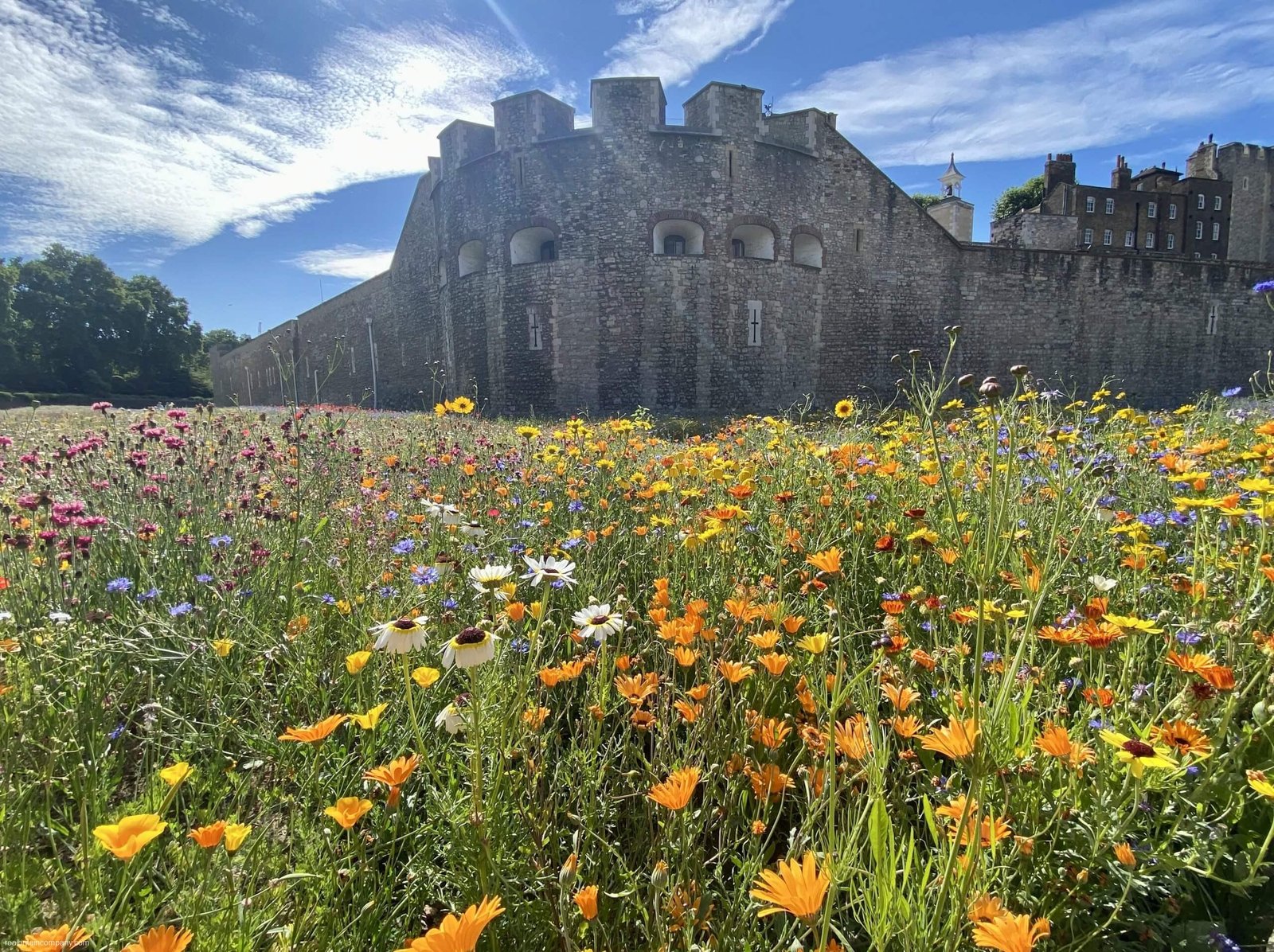 The Real Britain Company | Guides, Tickets & Attractions